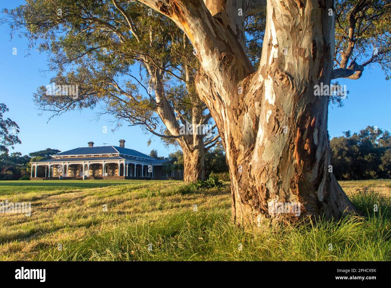 Mt Sturgeon Homestead, Dunkeld Stock Photo - Alamy