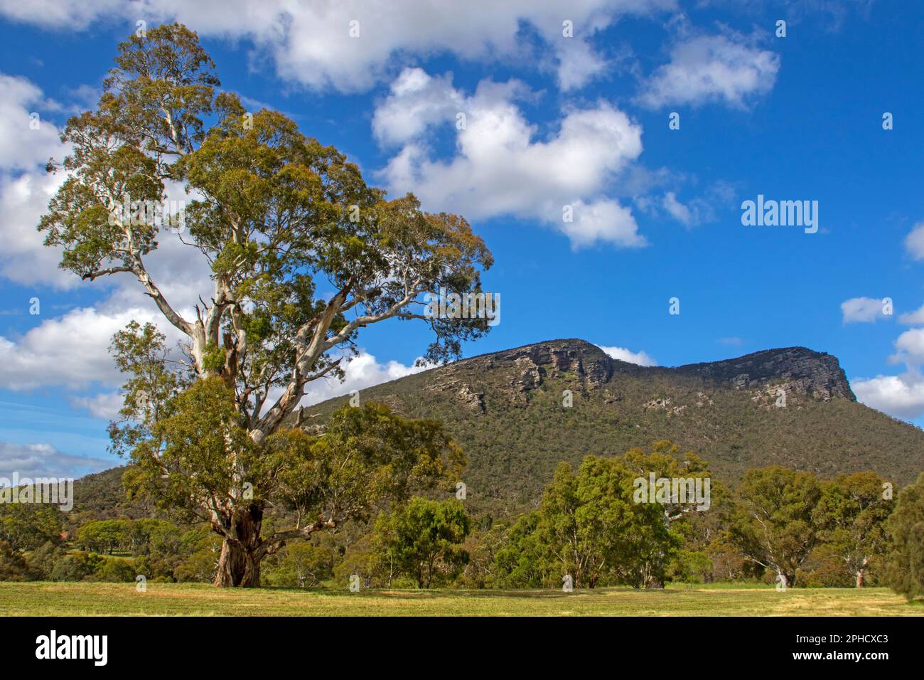 Mt Sturgeon, Grampians (Gariwerd) National Park Stock Photo - Alamy