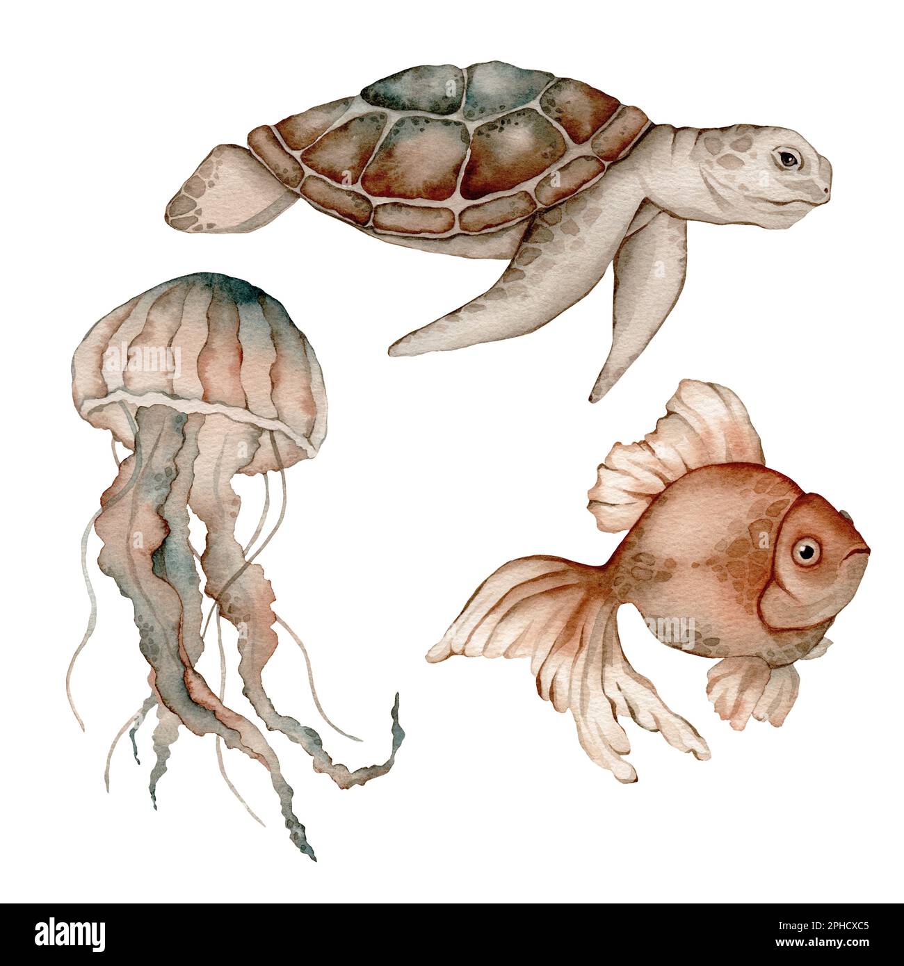 Set of sea animals poster. Blue, greeen, brown watercolor ocean ...