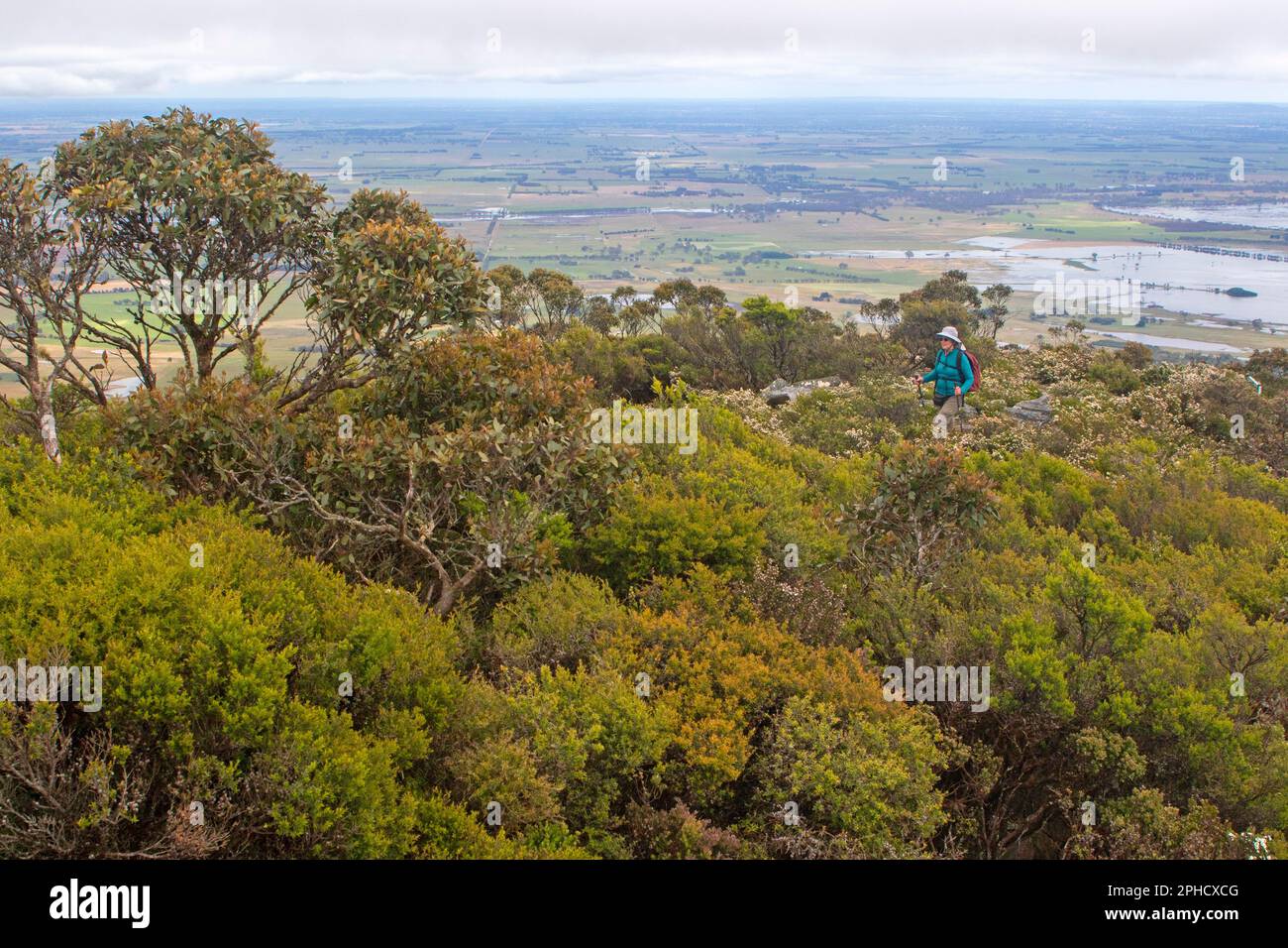 Hiker on the slopes of Mt Abrupt, Grampians (Gariwerd) National Park ...