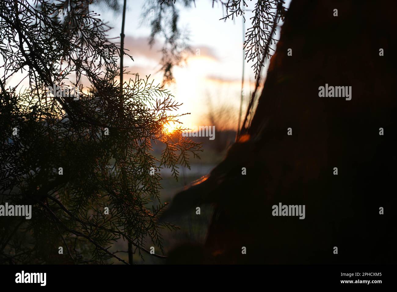 Creepy sun hi-res stock photography and images - Alamy