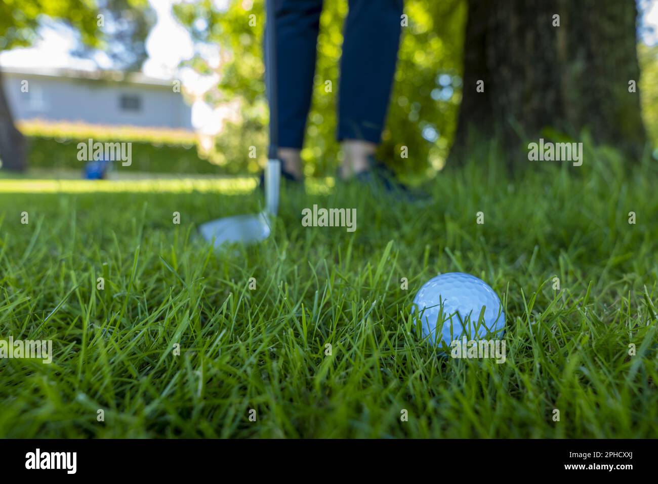 Golf Ball Lying on the Rough Grass and Golfer with Golf Club Searching ...