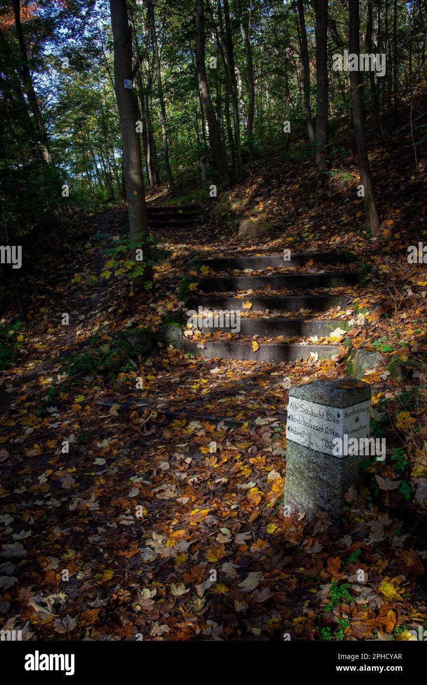 An old marker stone at a walking trail on the Havel Heights trail in ...