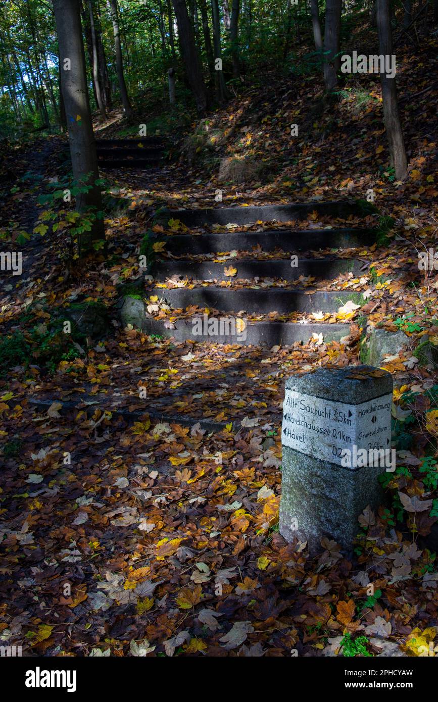 An old marker stone at a walking trail on the Havel Heights trail in ...