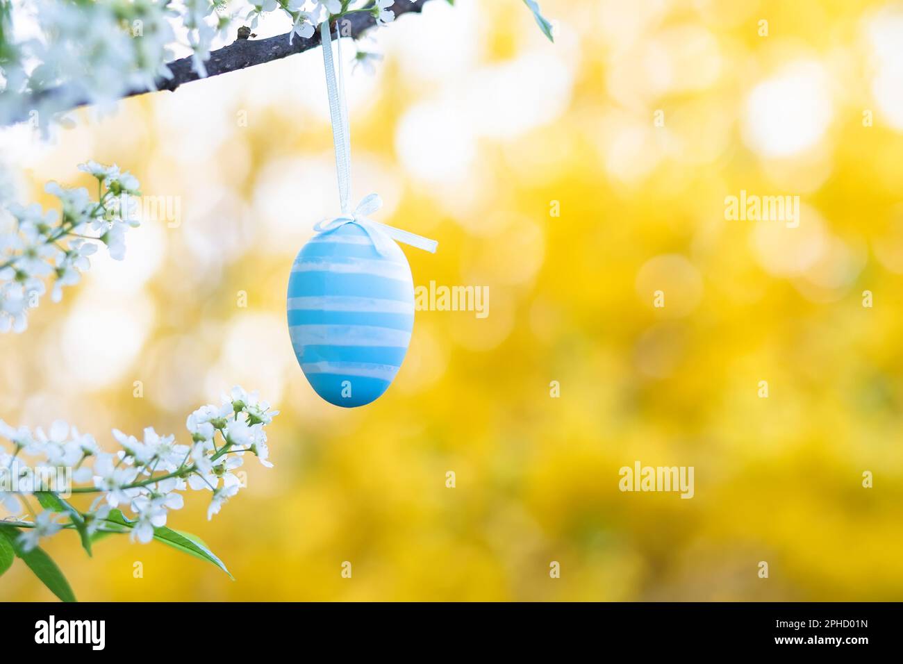Hackberry tree form hi-res stock photography and images - Alamy