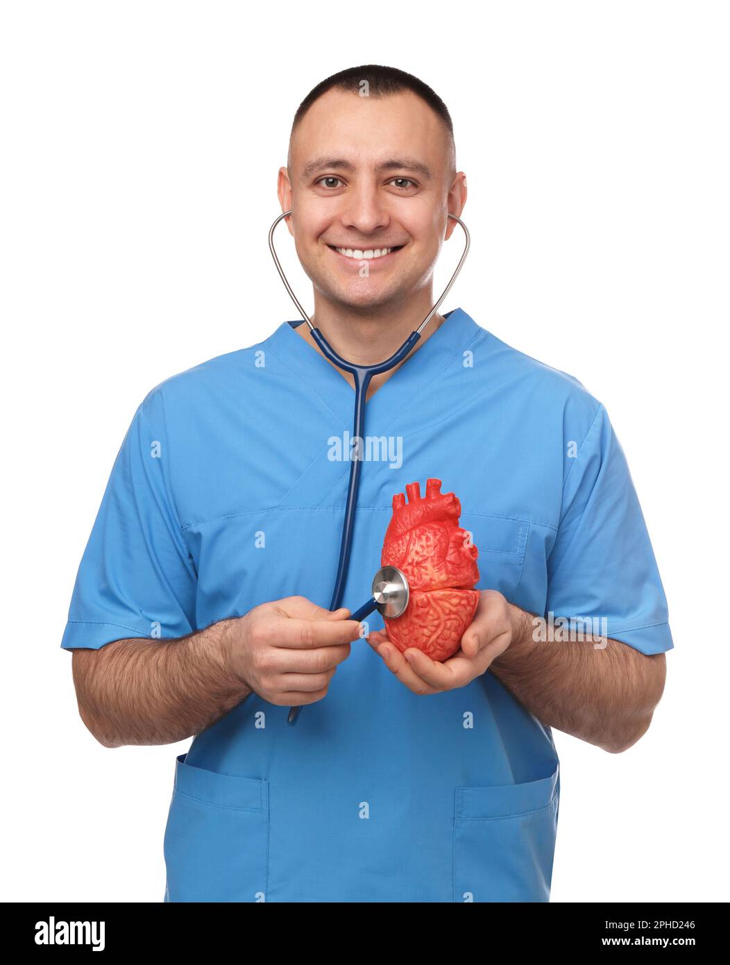 Doctor with stethoscope and model of heart on white background ...