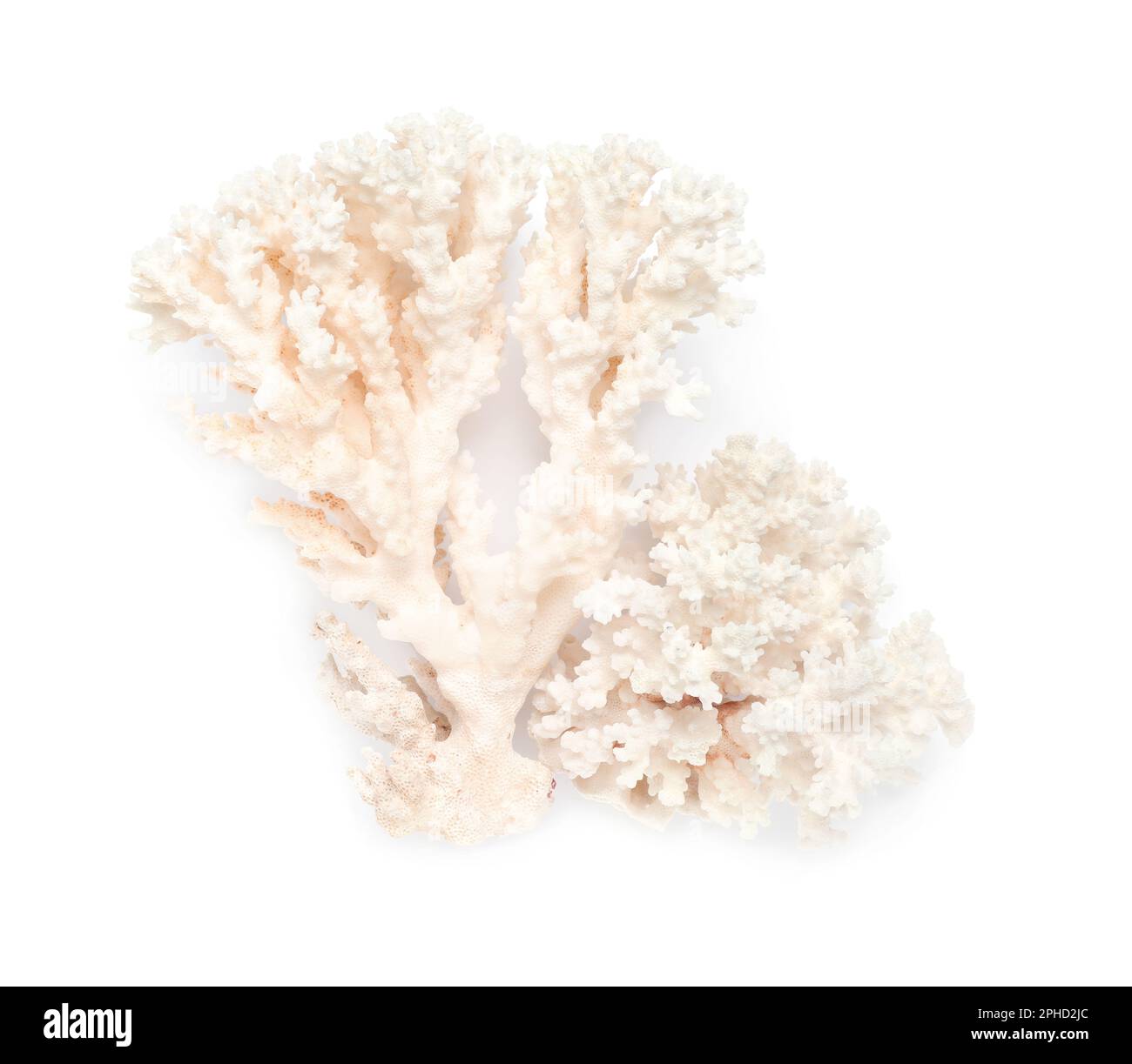 Underwater view beautiful tropical reef Cut Out Stock Images & Pictures ...