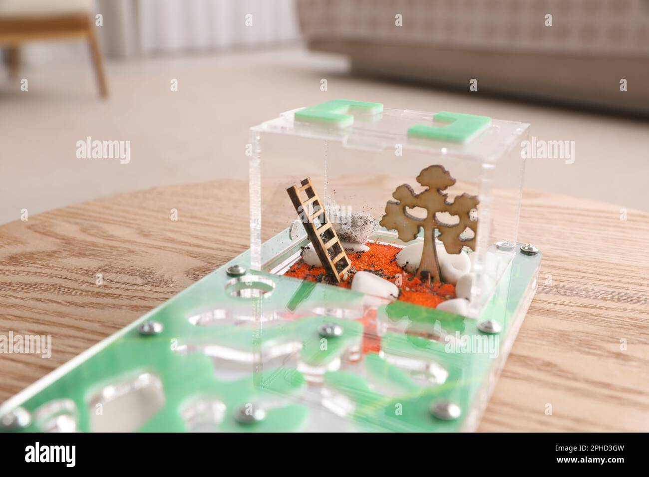 Ant farm box hi-res stock photography and images - Alamy
