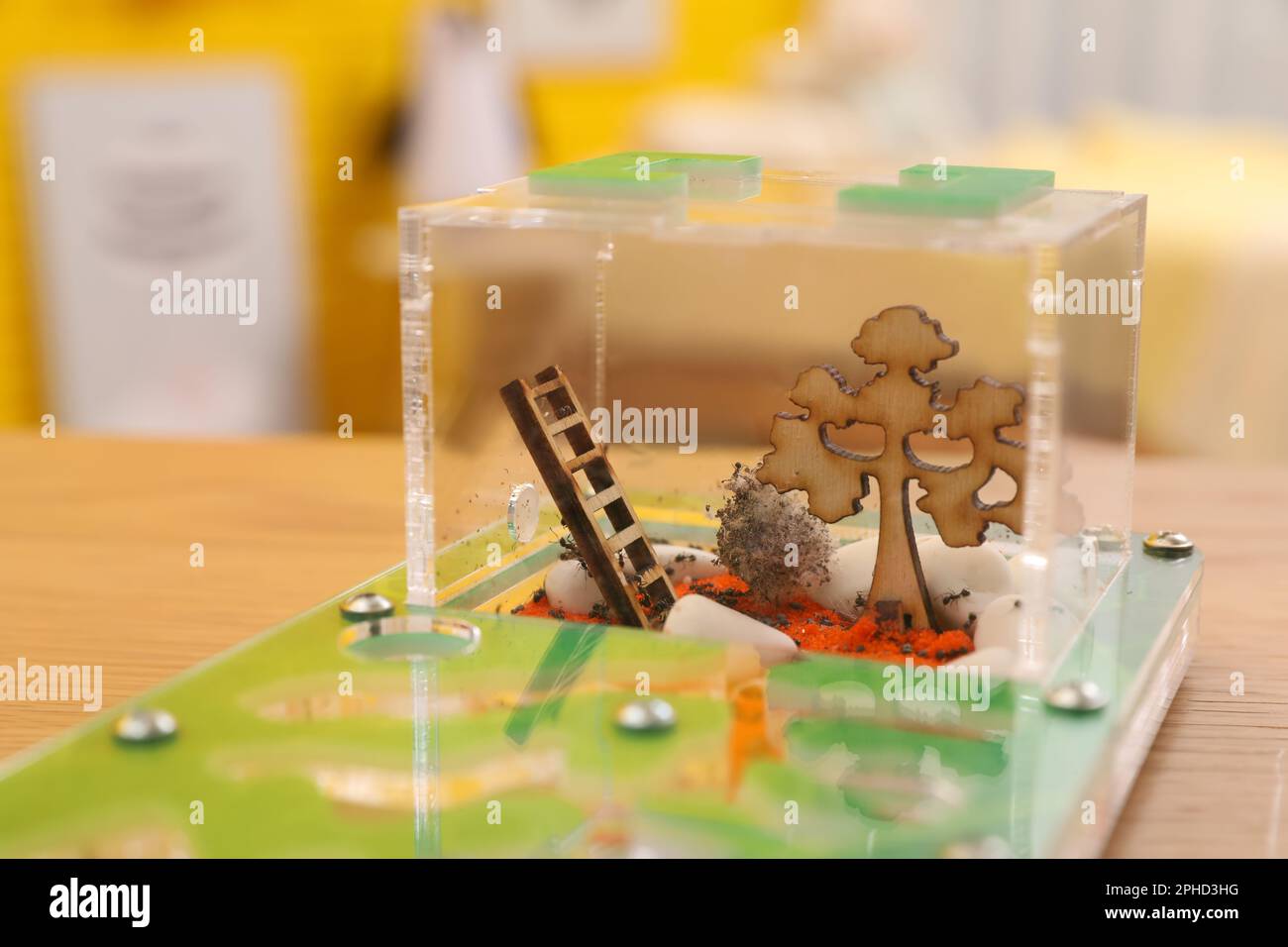 Formicarium hi-res stock photography and images - Alamy