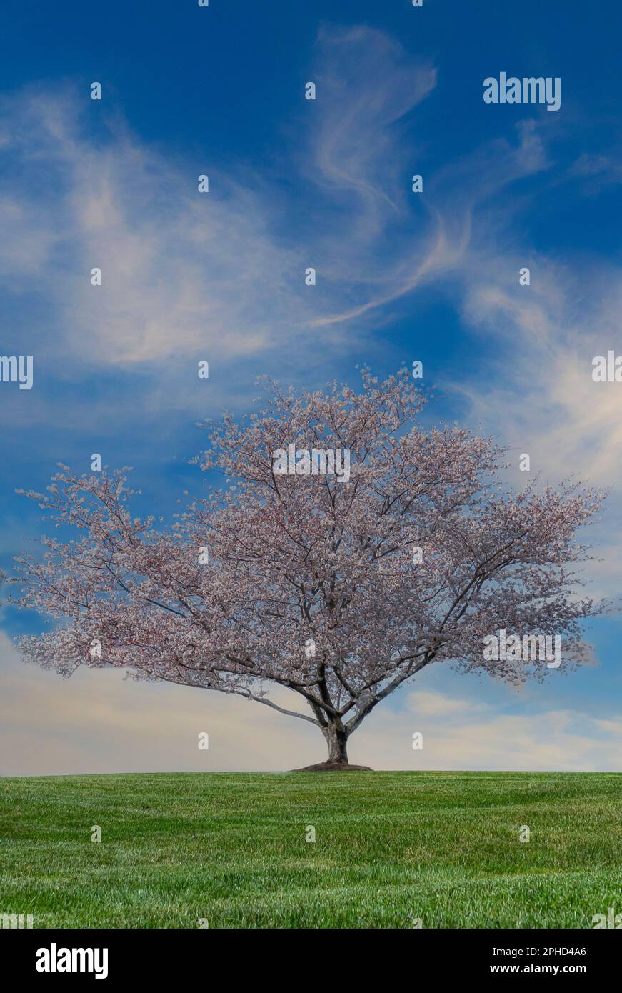 Cherry point north carolina hi-res stock photography and images - Alamy