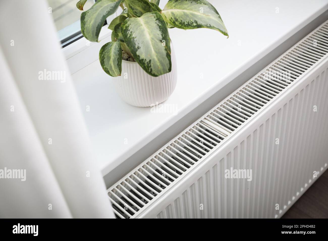 Beautiful houseplant on window sill and modern radiator at home ...