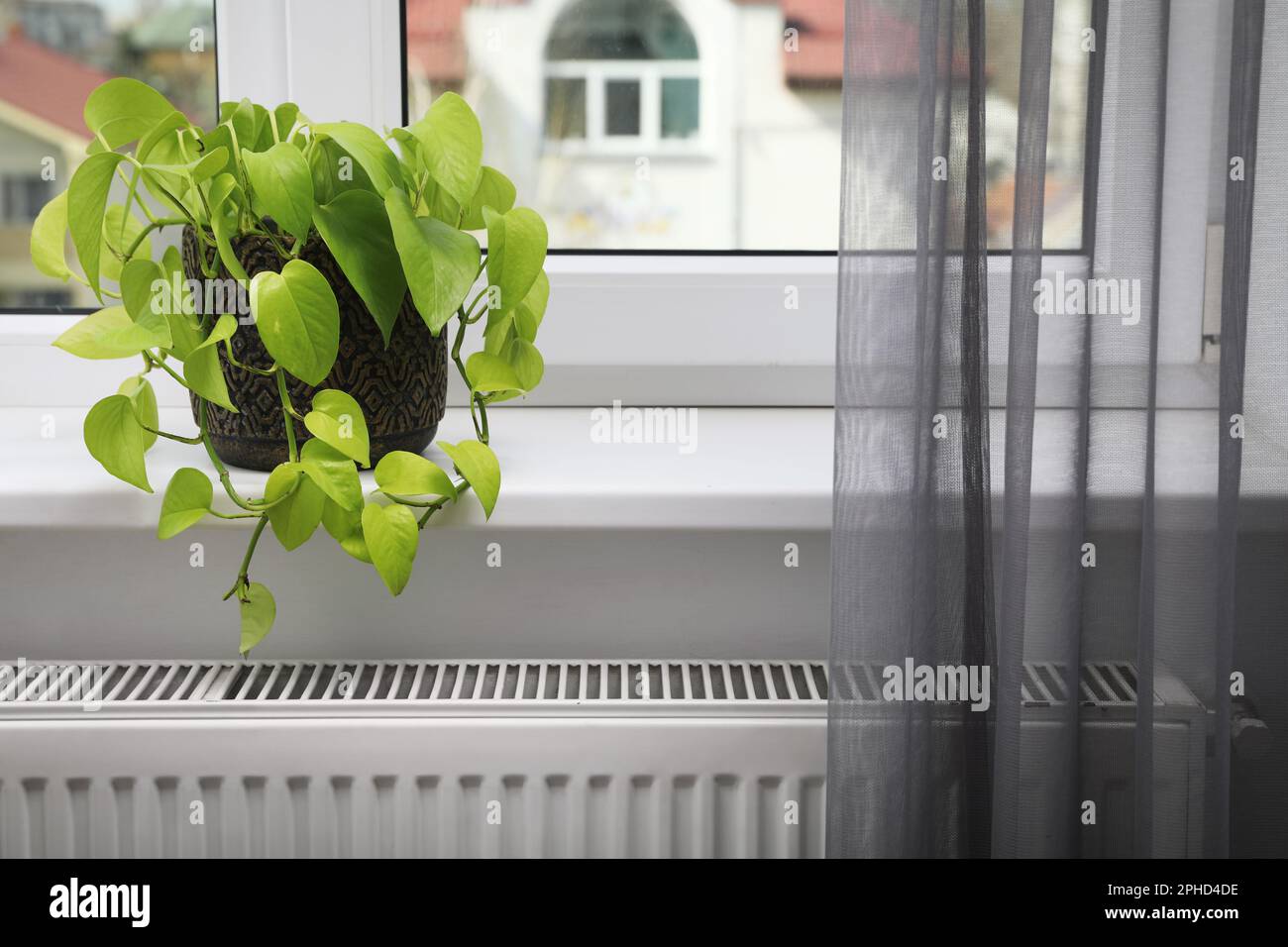 Beautiful houseplant on window sill and modern radiator at home ...