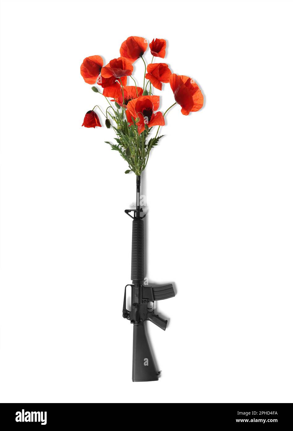 Beautiful blooming poppy flowers and assault rifle on white background ...