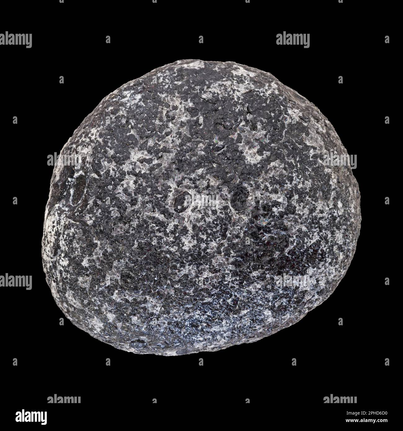 naturally rounded black volcanic glass obsidian cobble stone rock ...