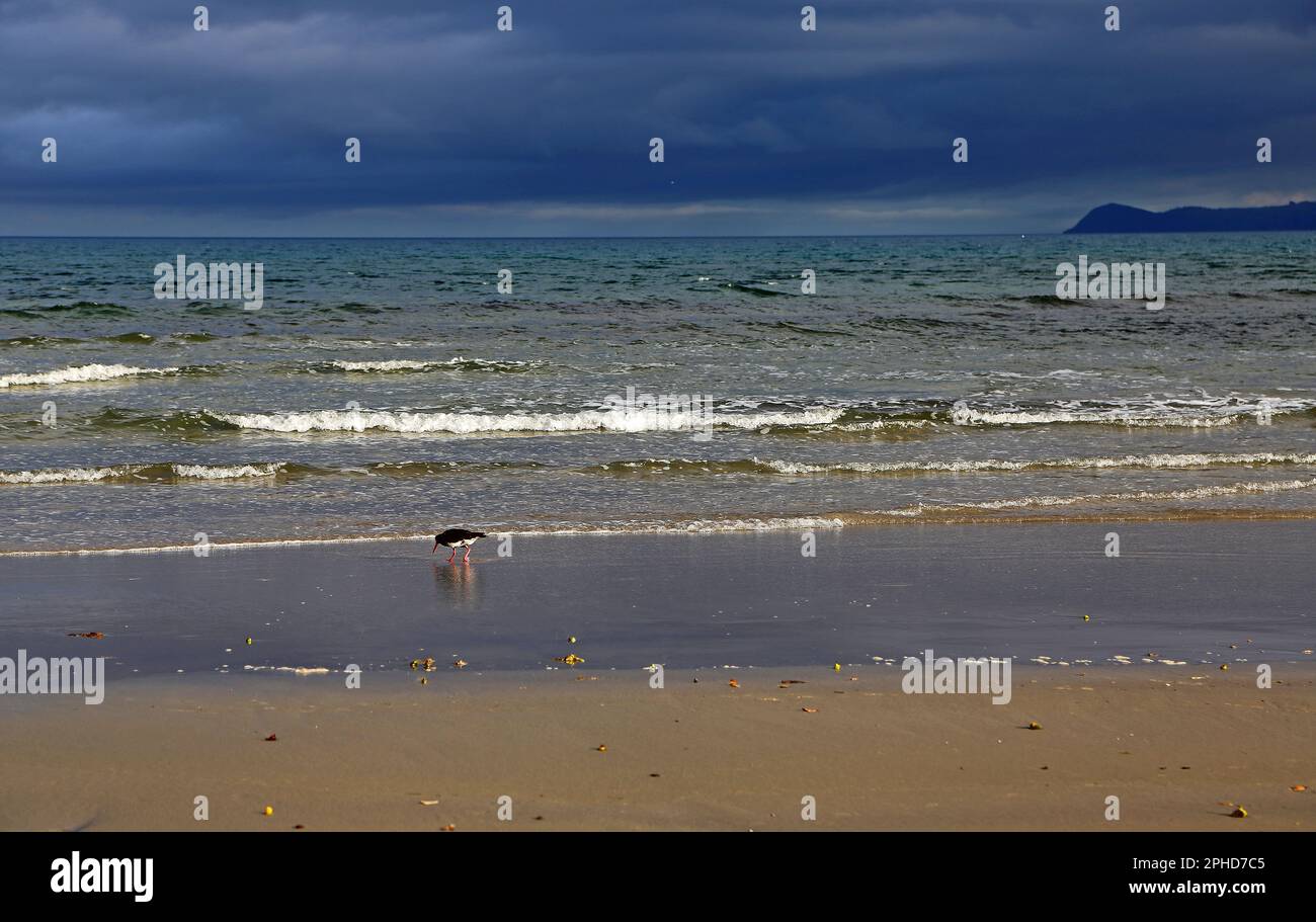 Ruakaka beach new zealand hi-res stock photography and images - Alamy