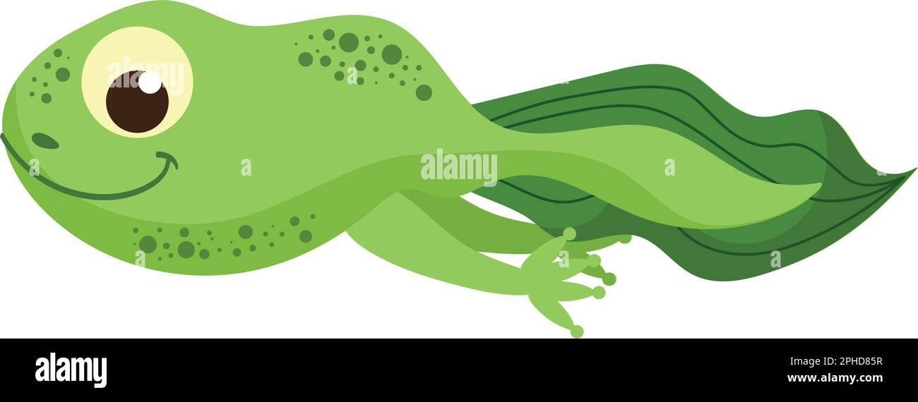 Smiling green baby tadpole Stock Vector Image & Art - Alamy Smiling green baby tadpole Stock Vector Image & Art - Alamy