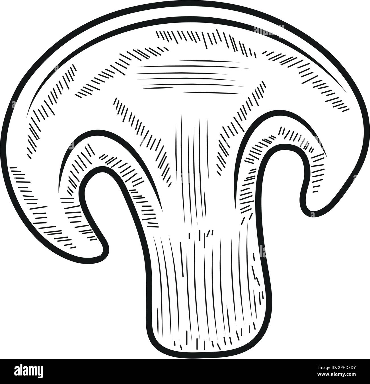 slice mushroom icon Stock Vector Image & Art - Alamy