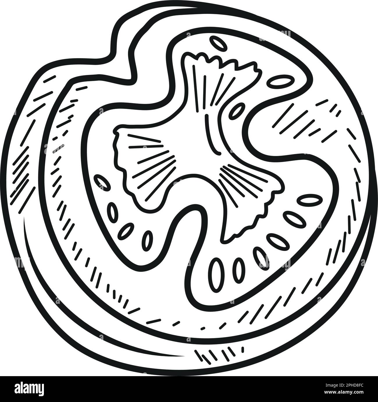 slice tomato icon Stock Vector Image & Art - Alamy