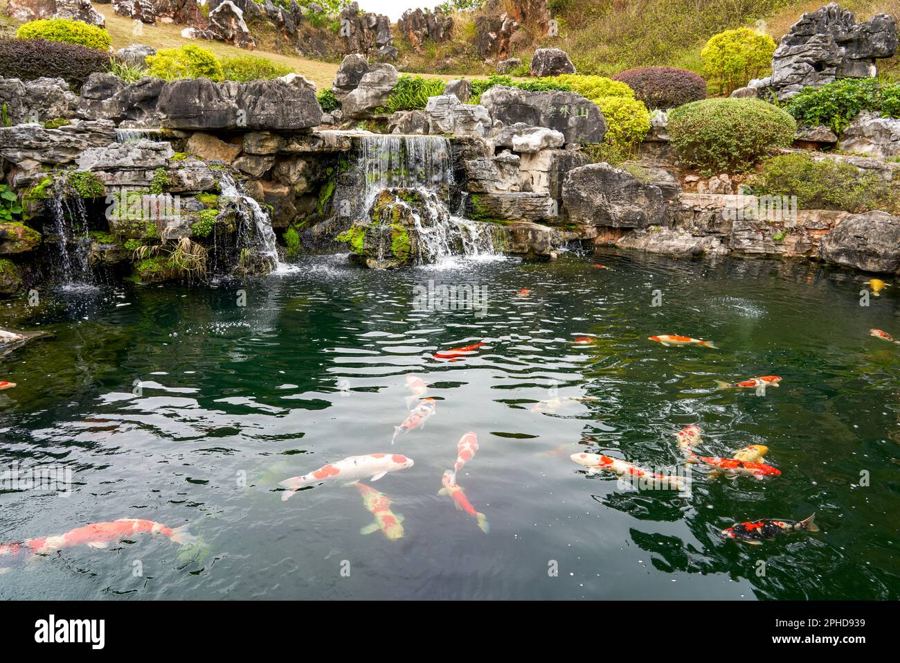 Rockery rocks in the beautiful garden and boutique koi in the pond ...