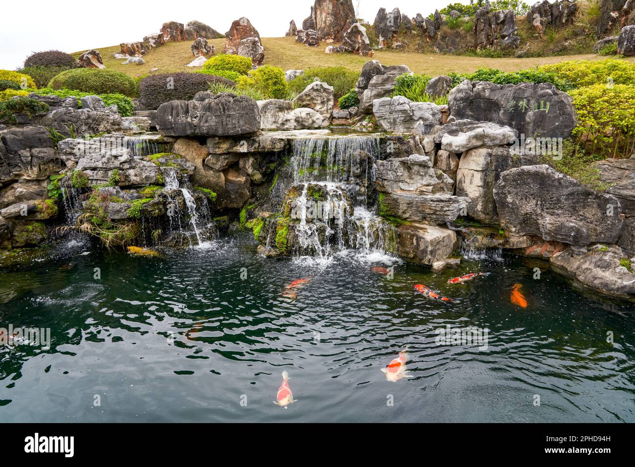Rockery rocks in the beautiful garden and boutique koi in the pond ...