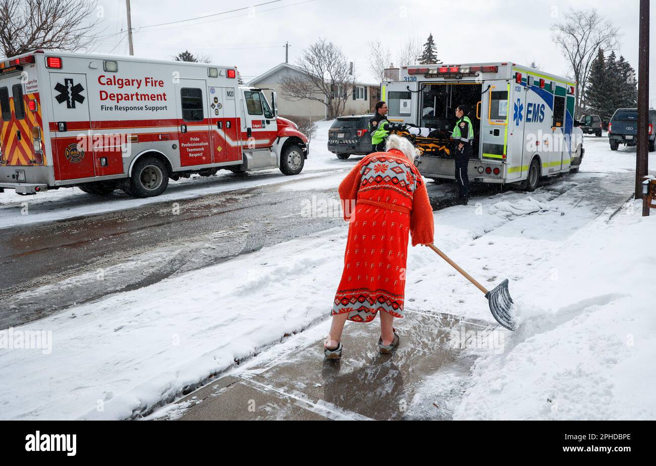 Calgary, Canada. 27th Mar, 2023. An elderly woman clears snow from her ...