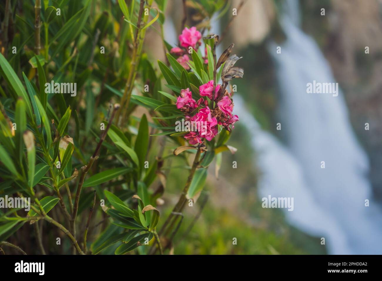 Lower Duden Falls drop off a rocky cliff falling from about 40 m into ...