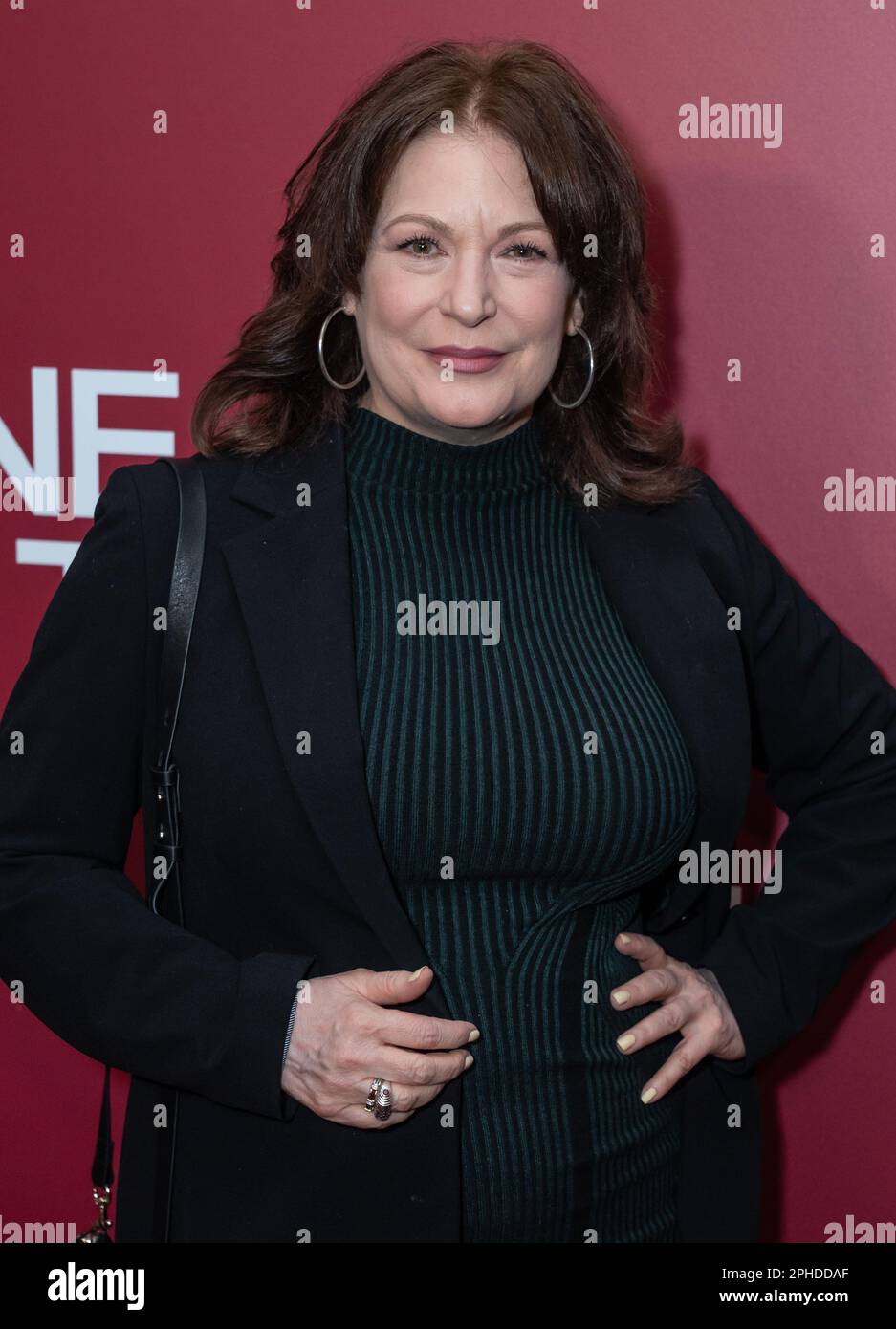 Mary Jo Mecca attends premiere of One True Loves in The Whitby Hotel in ...