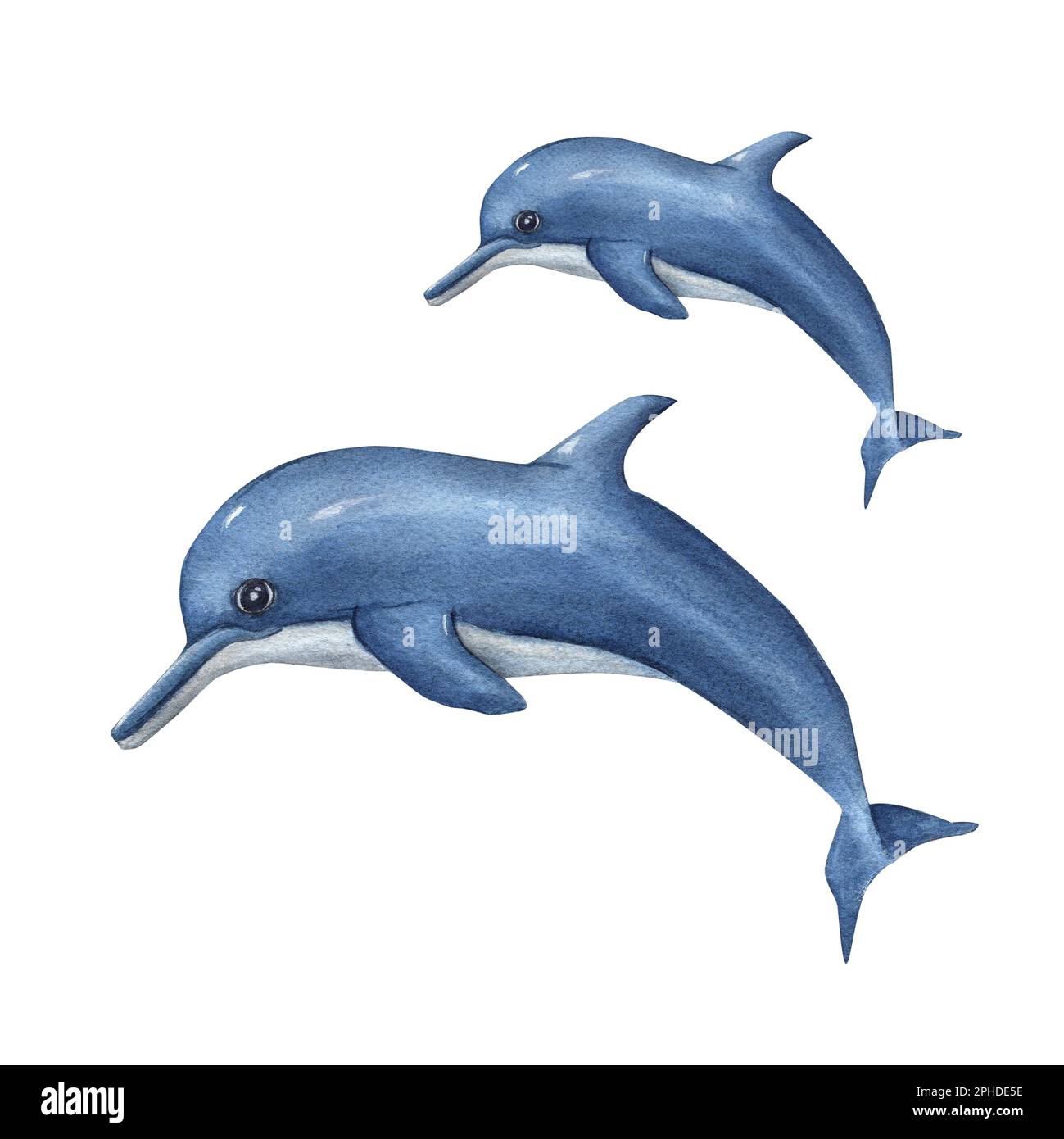 Dolphin square Cut Out Stock Images & Pictures - Alamy