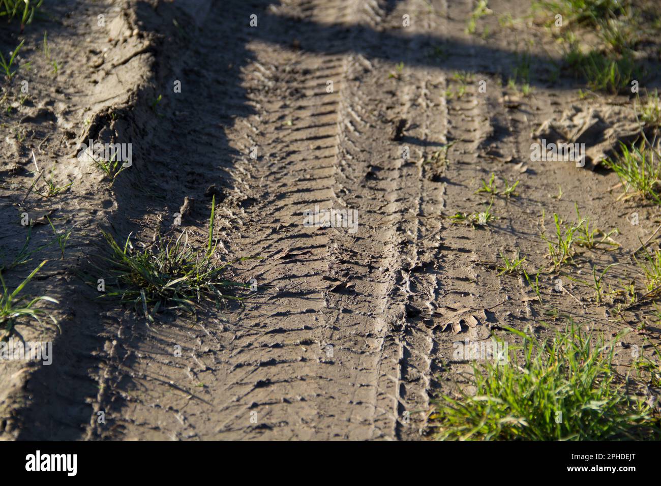 Image of tire tracks on mud on a country road after a rainy day Stock ...