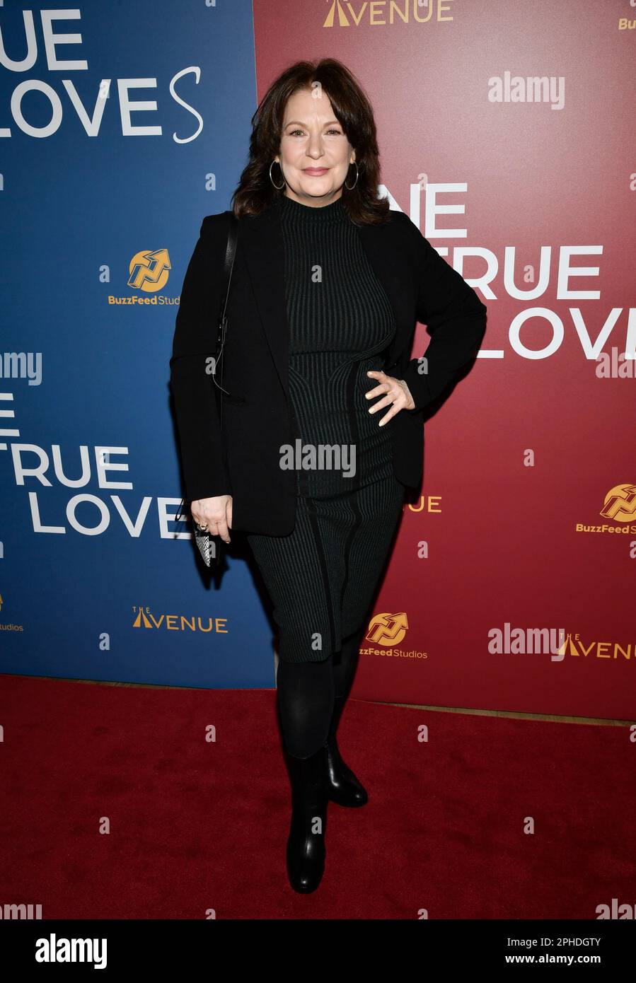 Mary Jo Mecca attends the premiere of "One True Loves" at The Whitby ...
