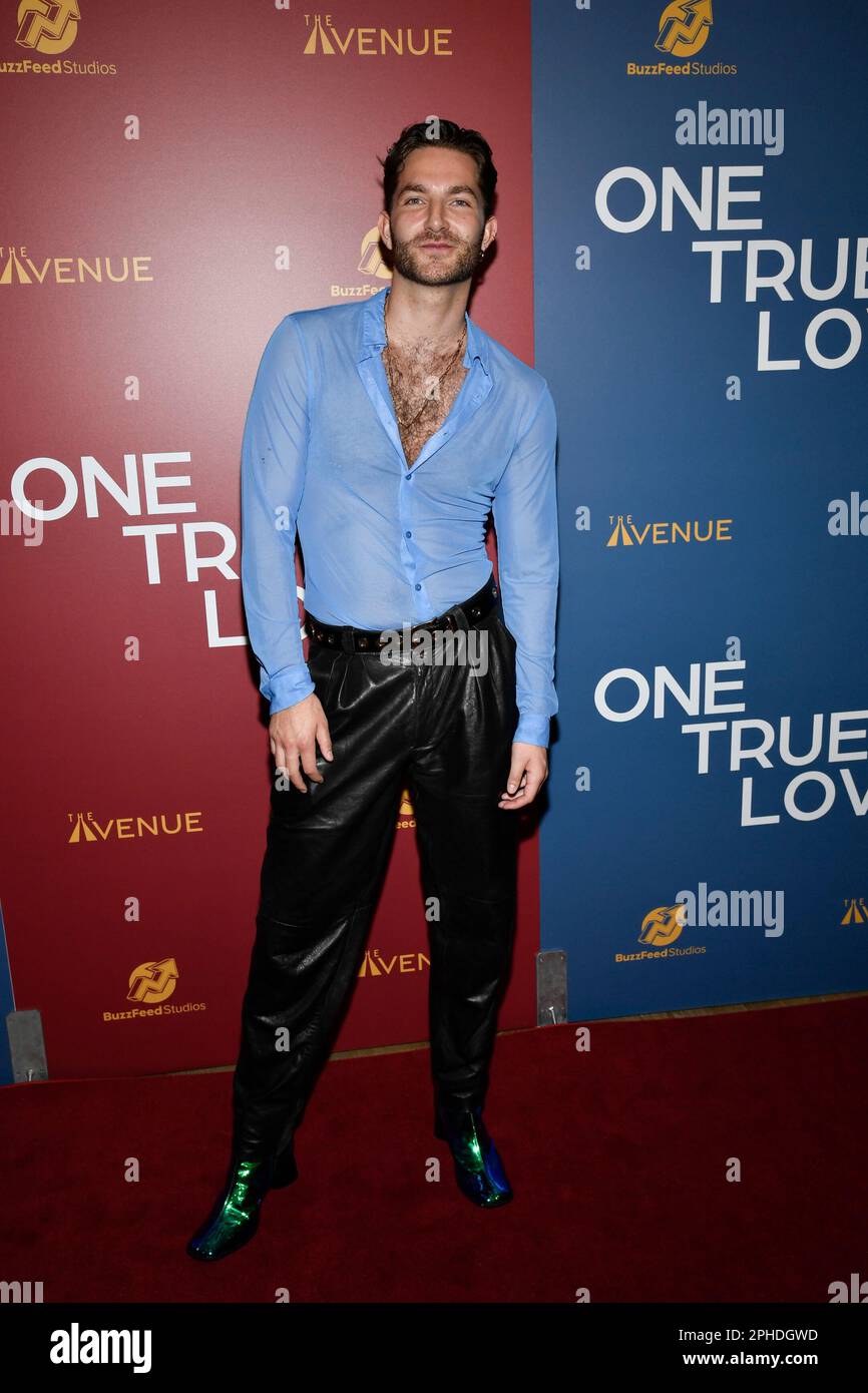 Zachary Zane attends the premiere of "One True Loves" at The Whitby ...