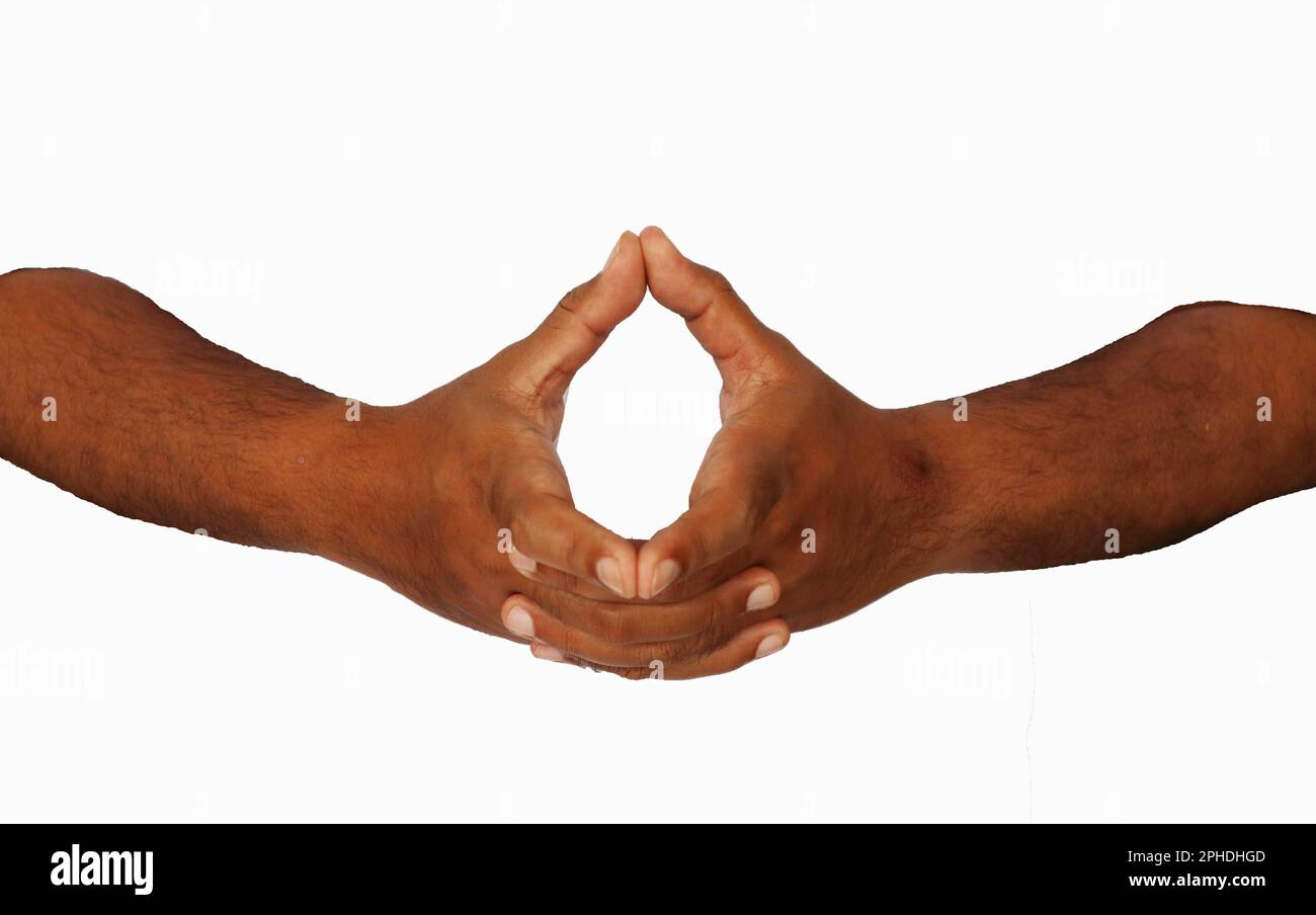 hand mudras. It includes such mudras,. Gestures is isolated on white ...