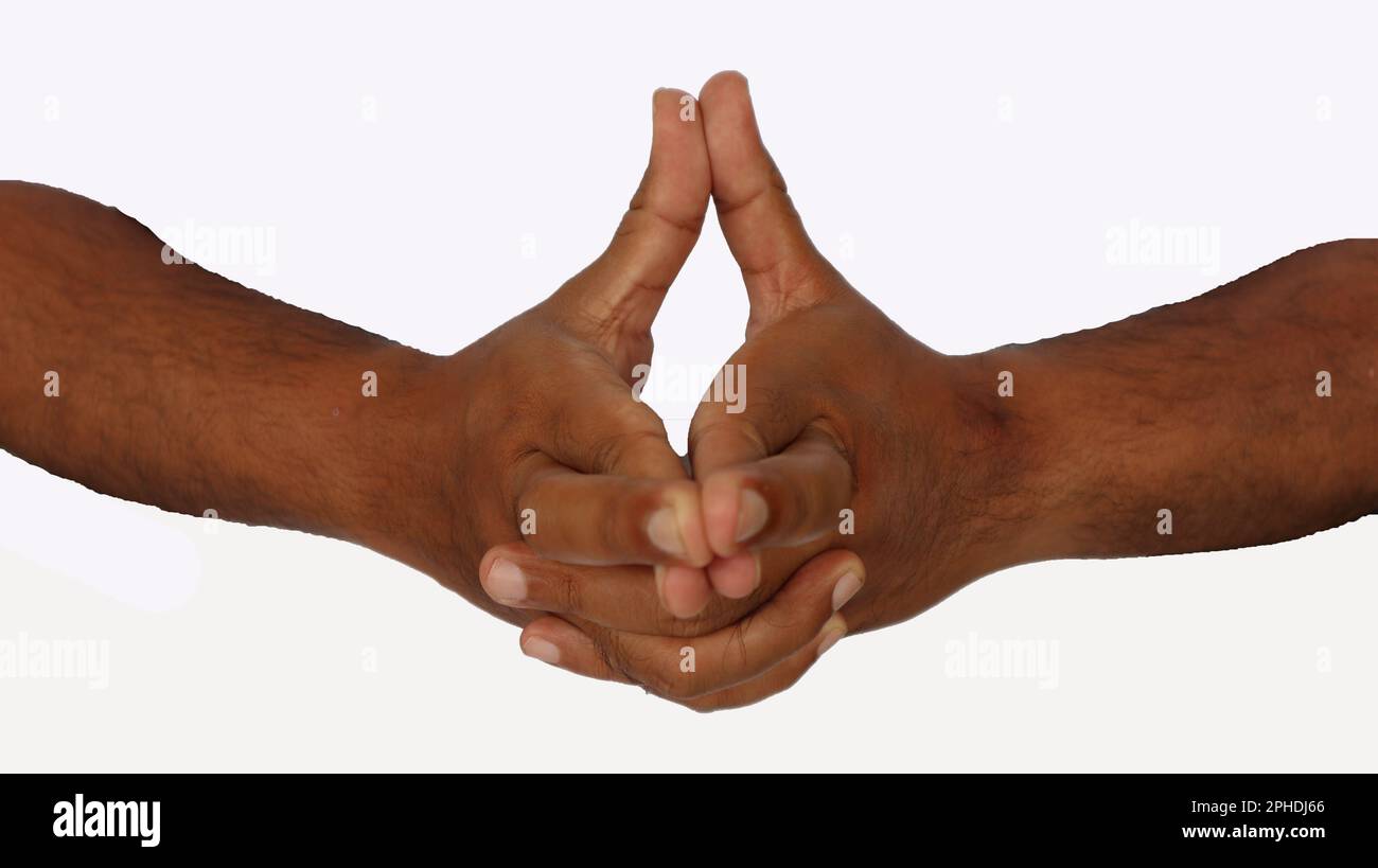 hand mudras. It includes such mudras,. Gestures is isolated on white ...