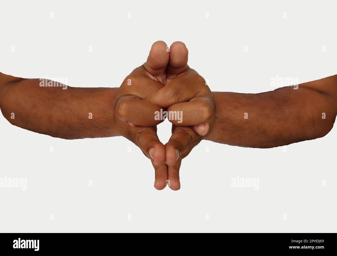 hand mudras. It includes such mudras,. Gestures is isolated on white ...