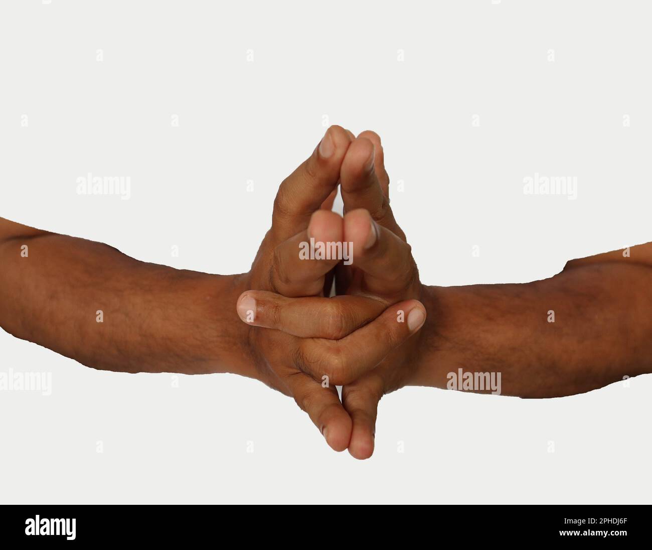 hand mudras. It includes such mudras,. Gestures is isolated on white ...