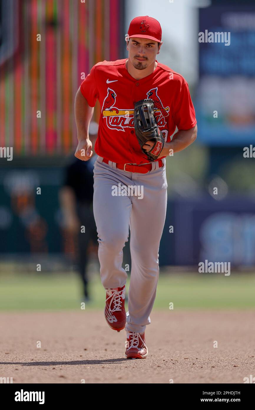 Packy naughton st louis cardinals hi-res stock photography and images ...