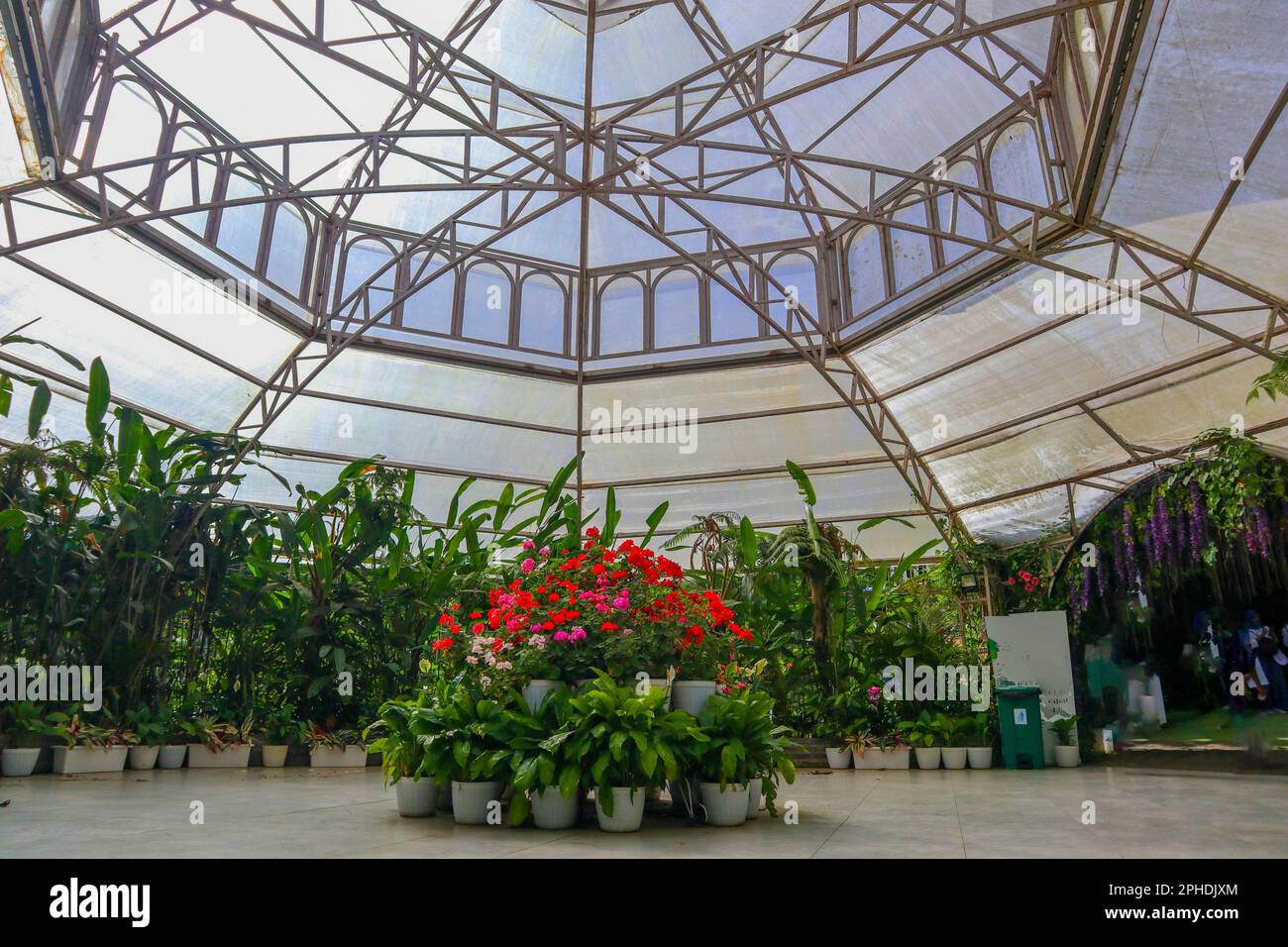 beautiful garden, Inside of a greenhouse with potted plants and ...