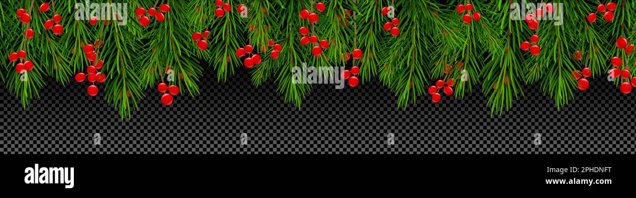 American 3d holly with pine tree vector border decor. Isolated ...