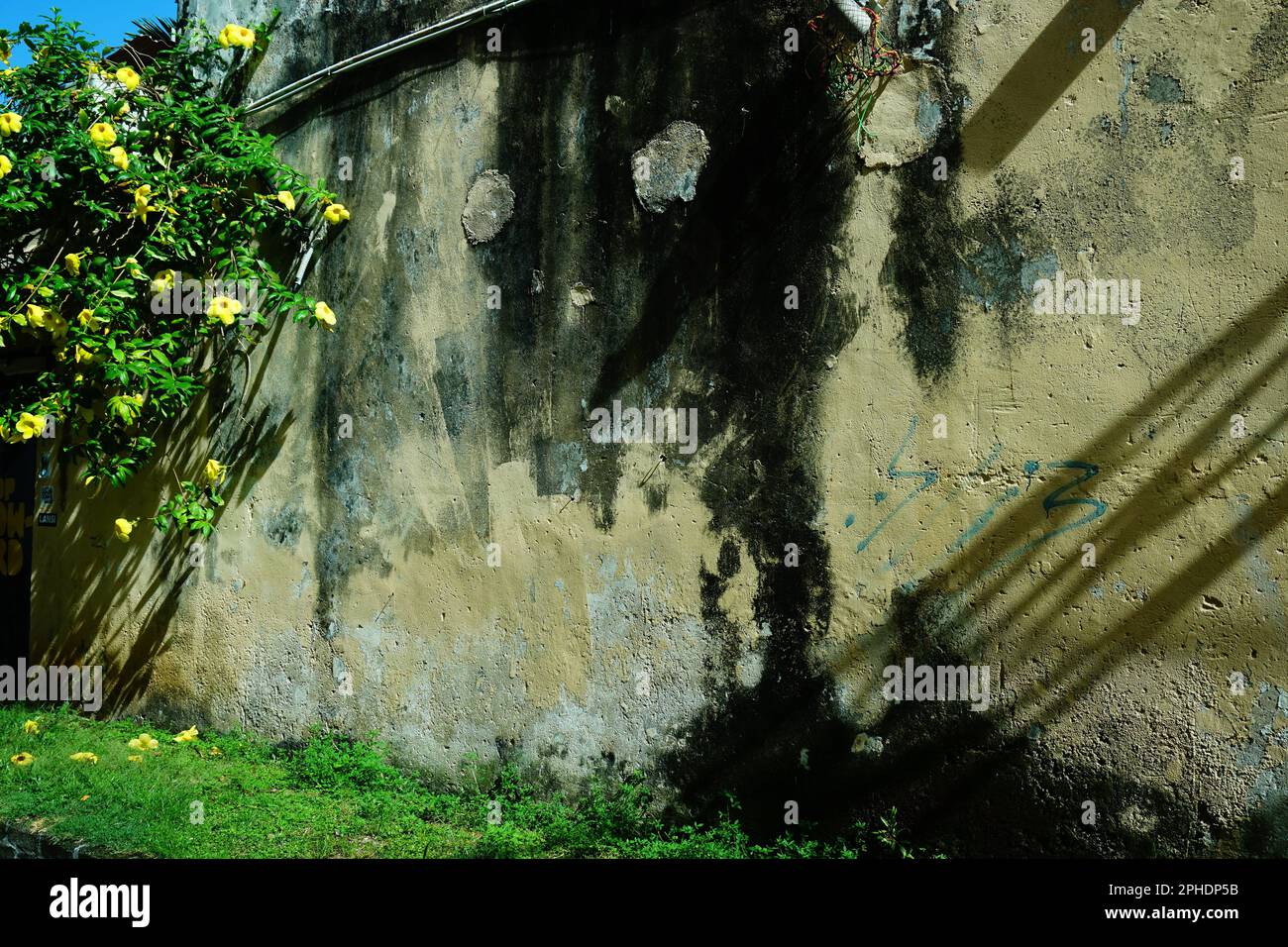 view of a detail in a street of penang Stock Photo - Alamy