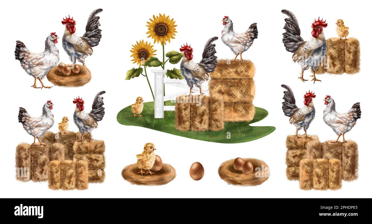 A farmer's set of compositions of chicken, rooster, chicken among ...