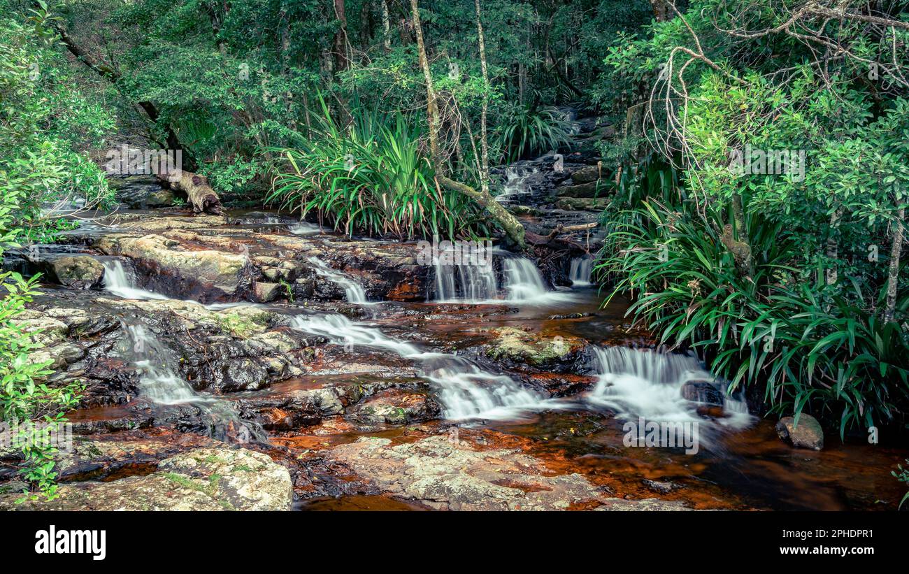 Small waterfalls in Springbrook National Park, Queensland, Australia ...