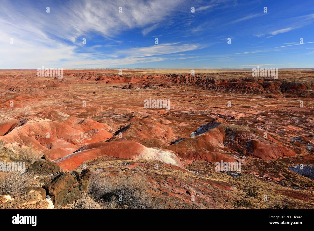 Petrified Forest National Park, a natural attraction place with many ...