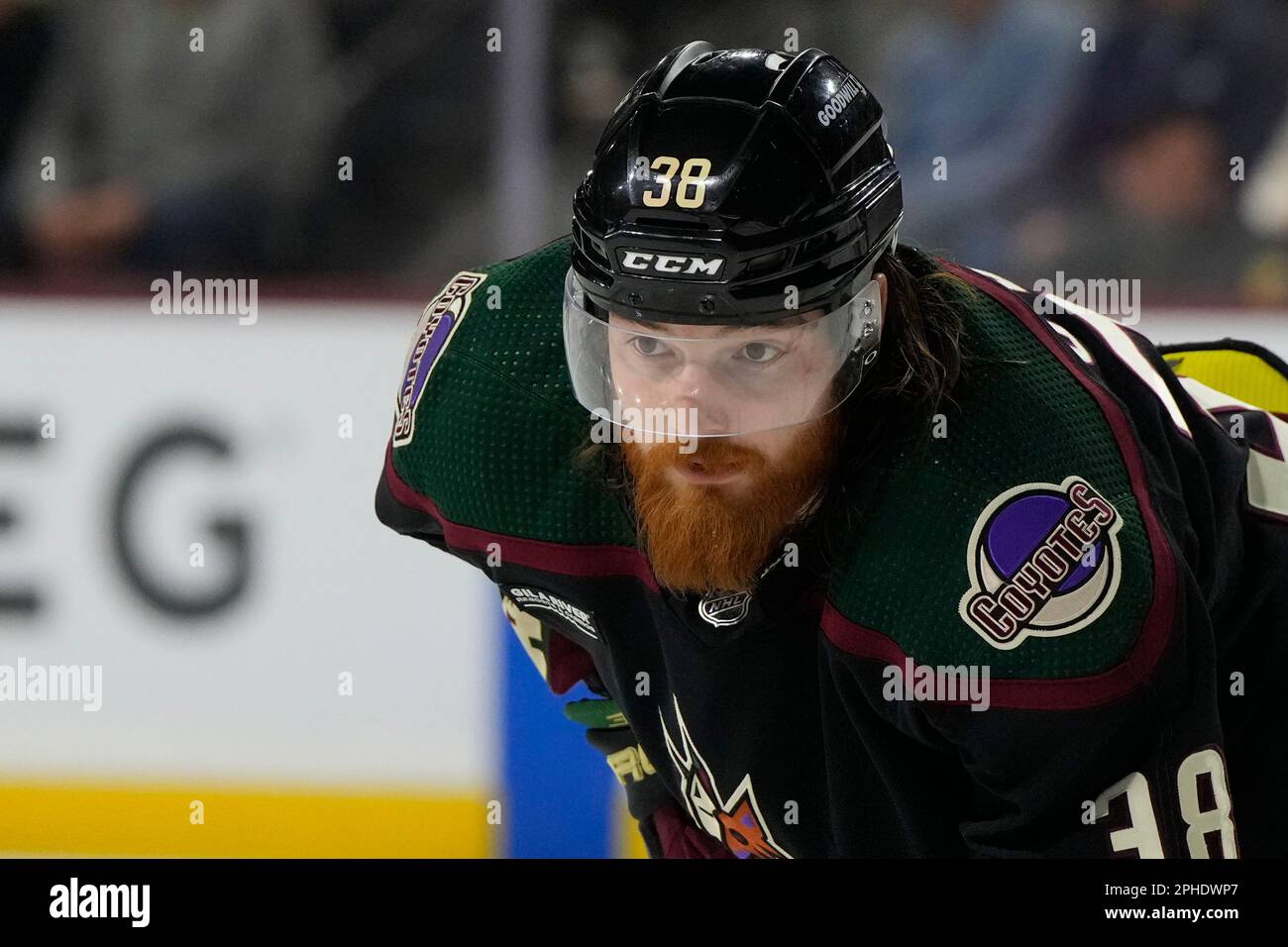 Arizona Coyotes center Liam O'Brien (38) in the first period during an ...