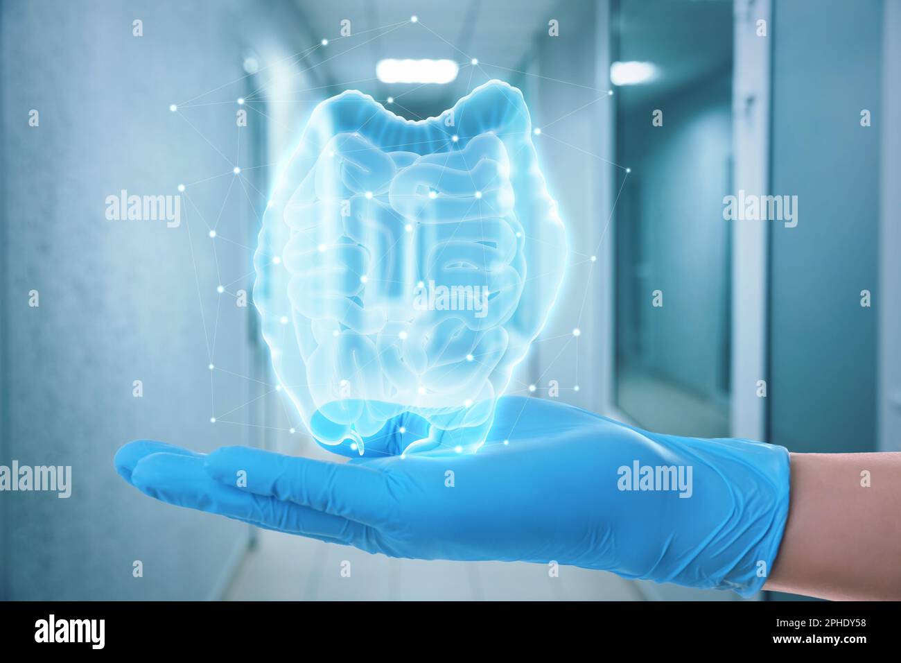 Gastroenterologist holding virtual image of intestine indoors, closeup ...