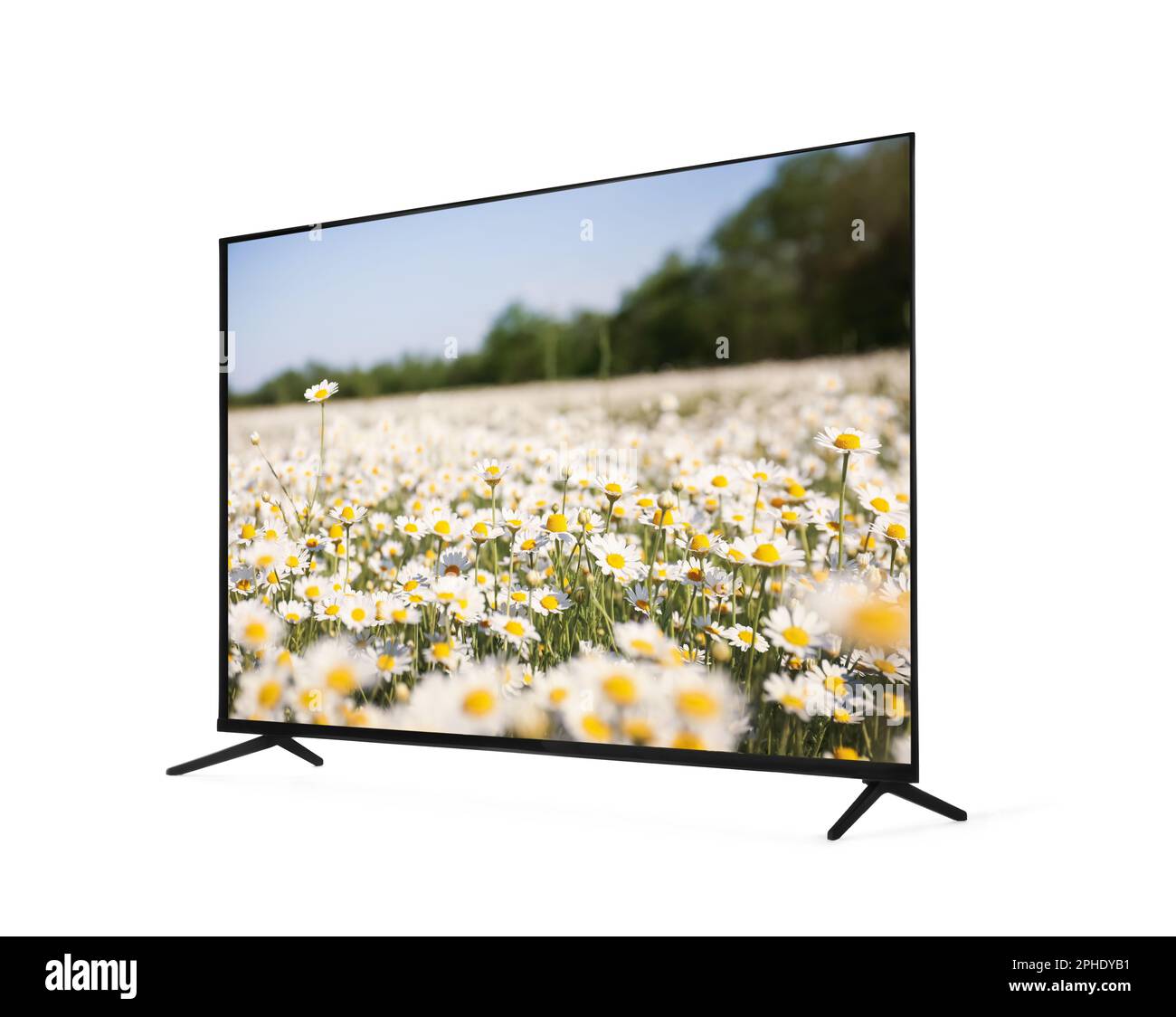 Modern wide screen TV monitor showing beautiful chamomile flowers in ...