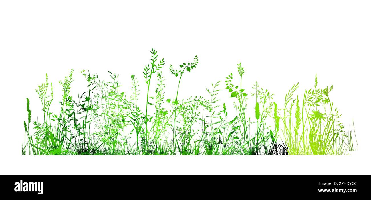 Vector green watercolor natural, organic, bio, eco label and shape ...