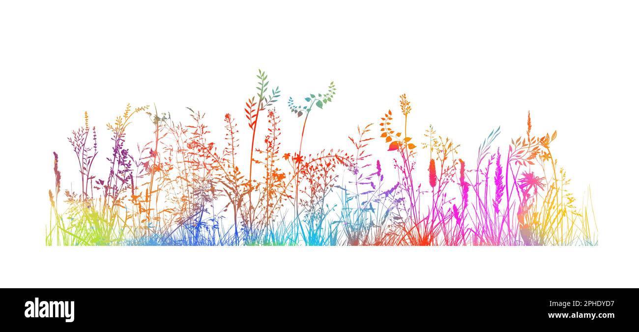 Colored grass and flowers. Vector illustration Stock Vector Image & Art ...