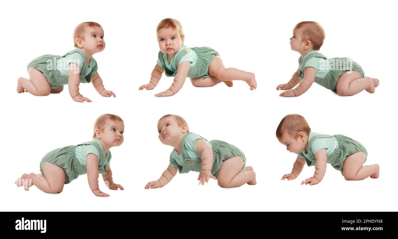 Collage with photos cute little baby crawling on white background ...