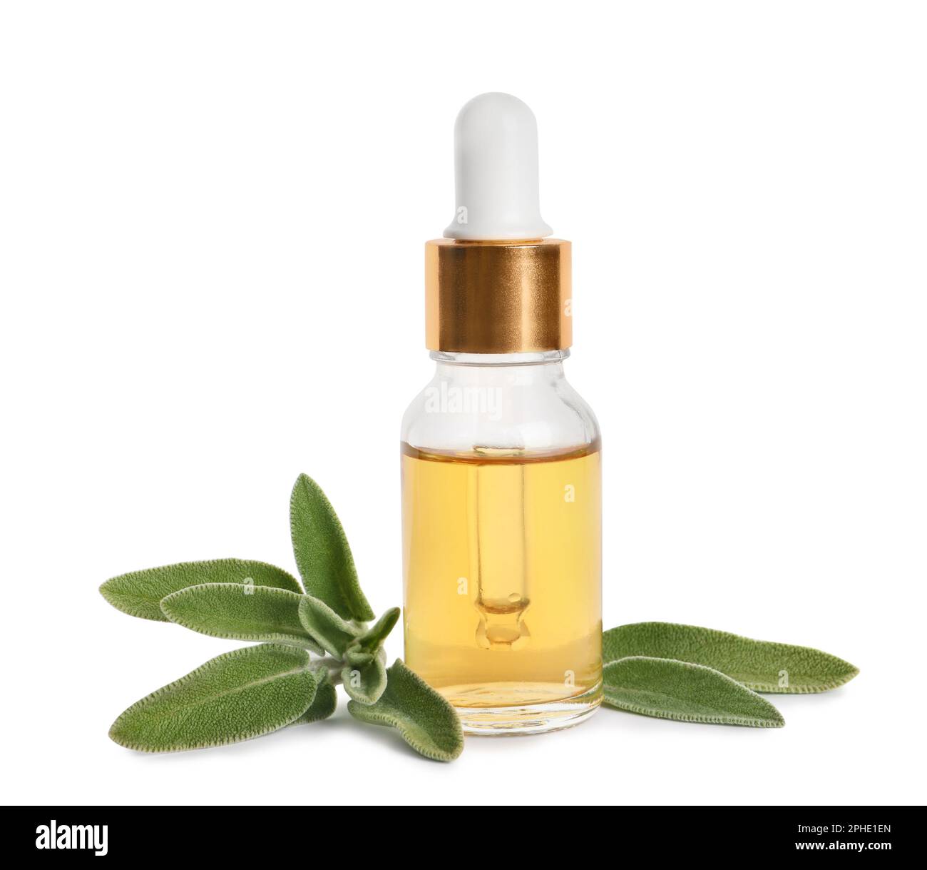 Bottle of essential sage oil and leaves on white background Stock Photo ...