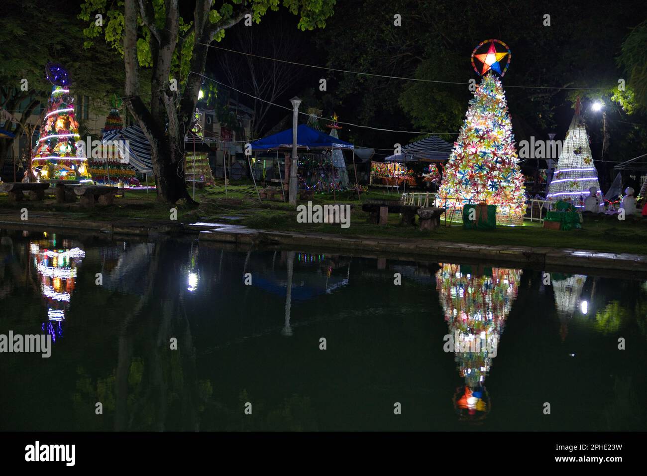 Colorfully lit fir trees with Christmas decorations in Siquijor in the ...